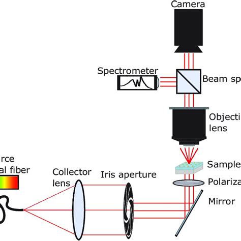 Schematic Of The Transmission Spectroscopy Setup Download Scientific Diagram