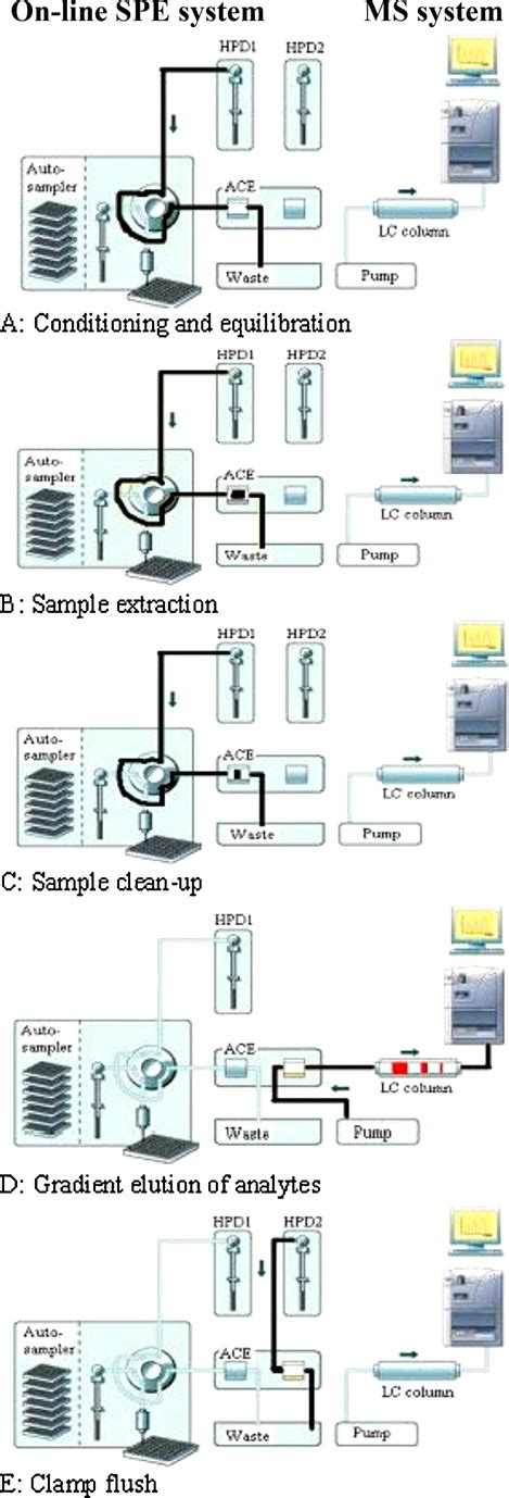 Schematic Representation Of The On Line Spe Extraction Procedure The