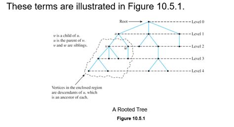 Solved Same But The Trees Are Different Because The Lists