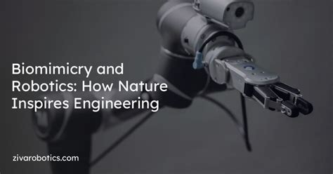 Biomimicry And Robotics How Nature Inspires Engineering