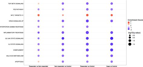 R How To Put A Black Border Around Certain Dots On A Ggplot Geom Point Plot Stack Overflow