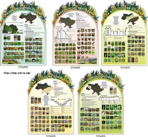 Природні зони України