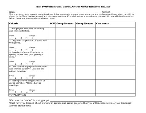 Group Project Peer Evaluation Form