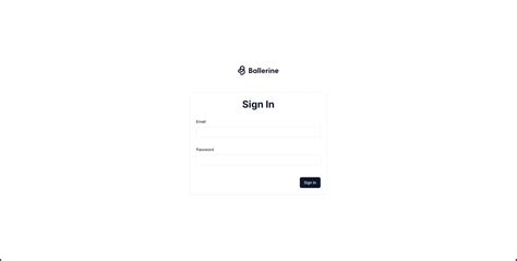 kyc manual review example ballerine documentation