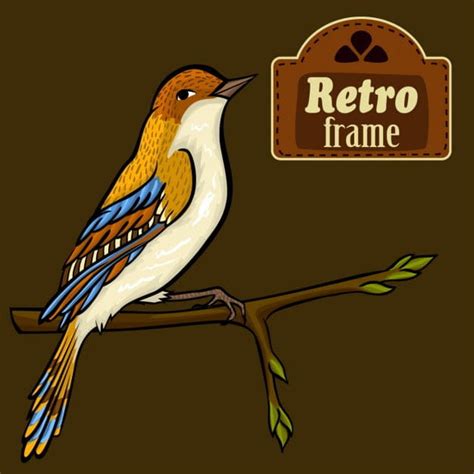 지점에 새와 갈색 배경 Eps Uidownload