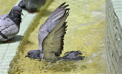寰宇同火炉！今年7月前3周为有记录以来最热的3周 搜狐大视野 搜狐新闻