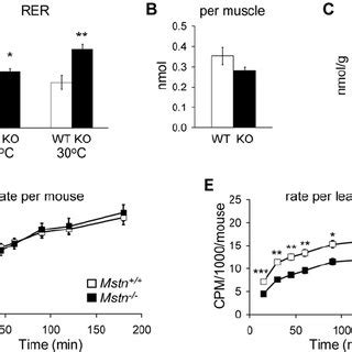 Substrate Utilization In Mstn And Mstn Mice On Standard Download Scientific Diagram
