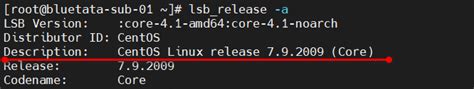 [ linux ] 如何查看linux系统版本 linux查看os版本 csdn博客