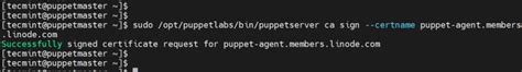 How To Install Puppet Master And Slave In RHEL Based Systems