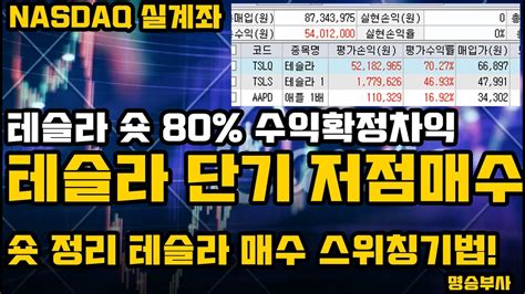 테슬라 숏 차익 이후 테슬라 매수 테슬라 단기 저점 Youtube