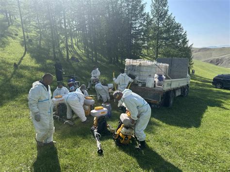 ХӨВСГӨЛ АЙМГИЙН ТҮНЭЛ СУМАНД СОНГОМОЛ ҮЙЛЧИЛГЭЭТ БАКТЕРЫН БЭЛДМЭЛ АШИГЛАН ҮҮРГИЙН ШҮРШИГЧ