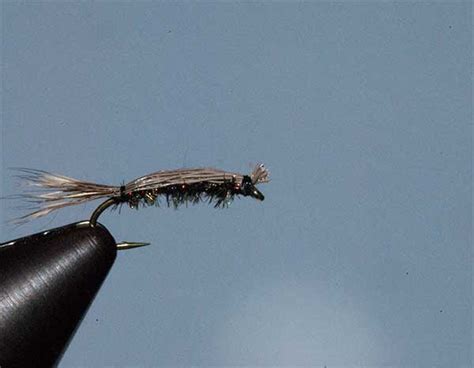 Fly And Fin Cooper Bug