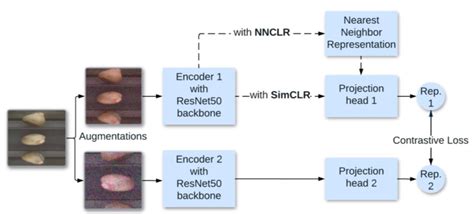 Superimposed Diagram Of Nnclr And Simclr Models The Two Dashed Arrows