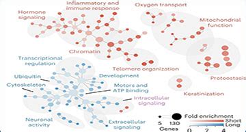 Aging Is Associated With A Systemic Transcriptome Imbalance RNA Seq Blog