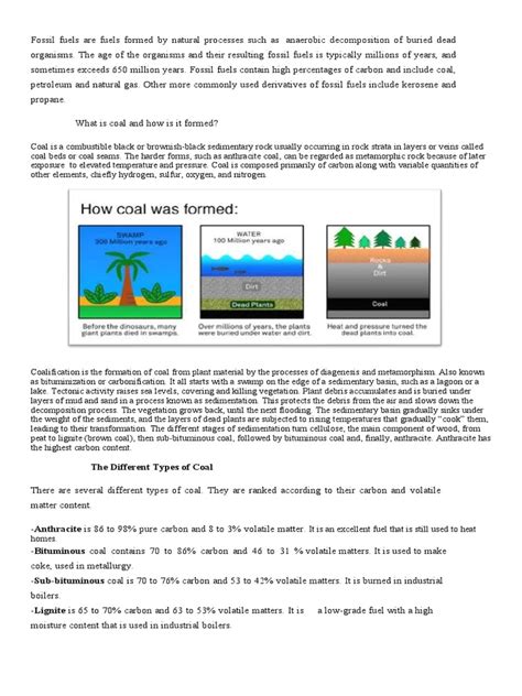 fossil fuel pdf