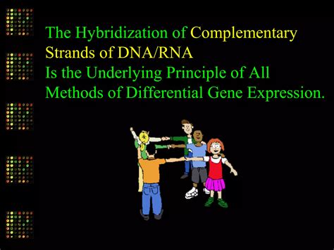 Dna Microarray Mehran Ppt