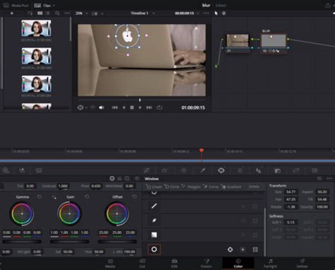 How To Blur In DaVinci Resolve Storyblocks