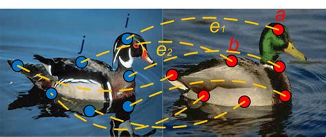 Feature Point Correspondence Mapping Download Scientific Diagram