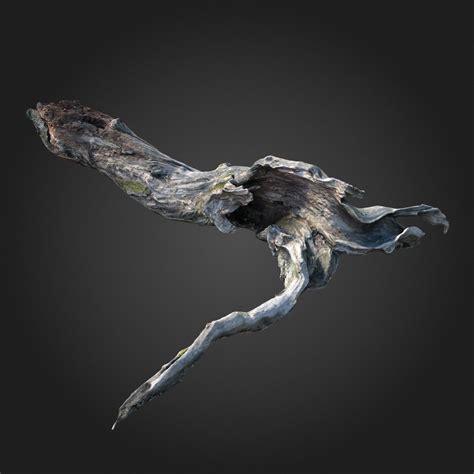 Tree Trunk 3d Model 49 Max Mud Obj Free3d