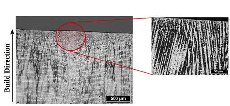 8 Visible Dendritic Morphology On Top Layers ∼ 500 µm Of The Sample