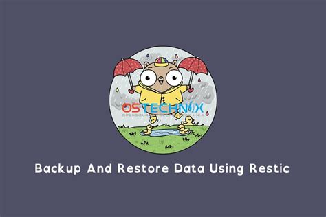 How To Backup And Restore Data Using Restic In Linux Rsysadminblogs