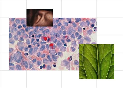 Journals All Journals