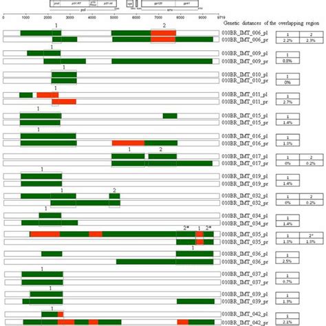 genetic distances of overlapping regions between isolates recovered