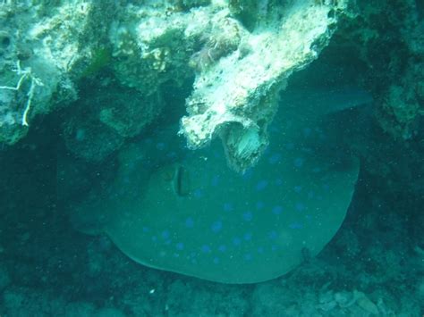 Mohamed Nabil United Arab Emirates And Egypt Travel Specialist Kimkim