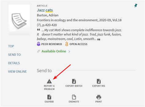 Add A Custom Report A Problem Button To The Send To Actions CARLI