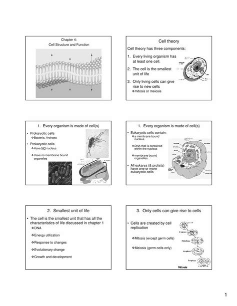 PDF Chapter Cell Theory Cell Structure And Function Cell Theory Has Wou Edu Kissanek