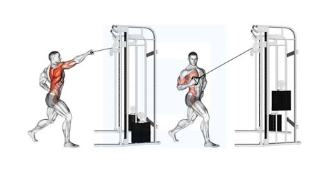 Inverted Row Guide Benefits And Form