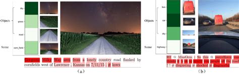 Visualization Of The Contribution Of Image Region Features And Textual