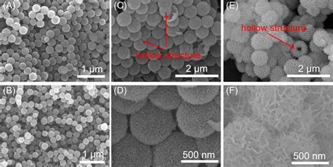 the morphologies of the samples a scanning electron microscopy sem