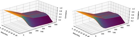 Surface Of Autocorrelation Associated With The Simulation Involving A