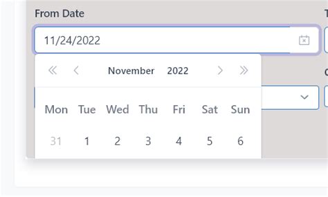 Date Picker Inside Accordion · Issue 152 · Coreuicoreui Angular · Github