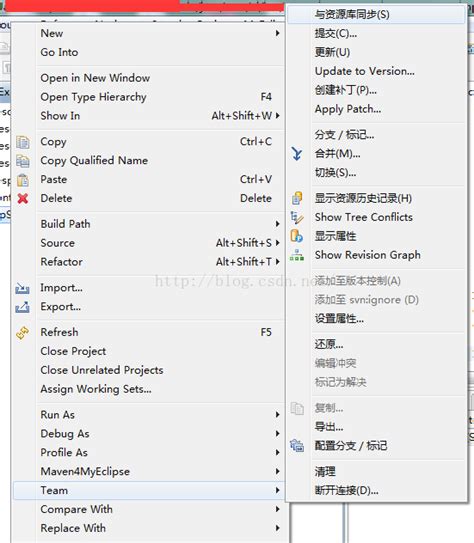 eclipse中使用svn教程 svn在sts中的使用教程 csdn博客