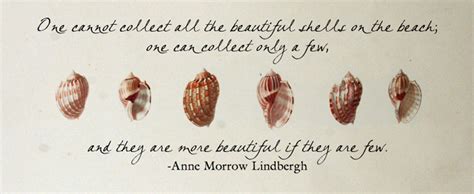 Shell Quotes Quotesgram