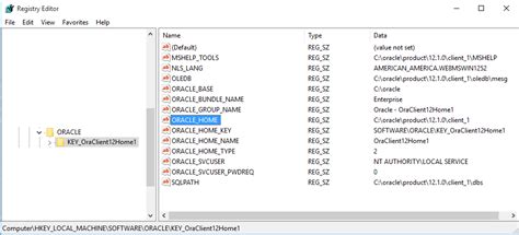 Sqlnetora Installation