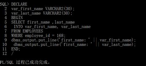 sqlplus执行pl sql语句块 happy2share 博客园
