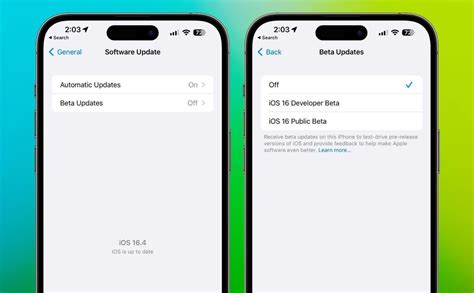 Xuất hiện lựa chọn cập nhật iOS Dev Beta hoặc Public Beta trên iOS 16 4