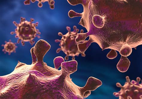 Bacteria Viruses John Voo Flickr