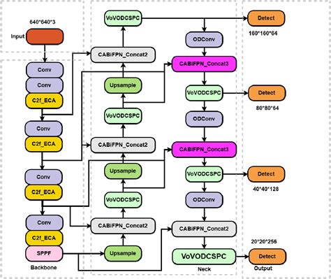 Omni Dimensional Dynamic Convolution With Coordinate Attention Detection Scheme Lufeng Bai