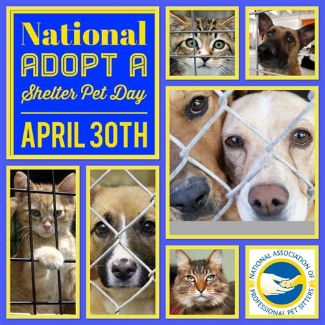 National Adopt A Pet Day 2024 - Caron Clementia