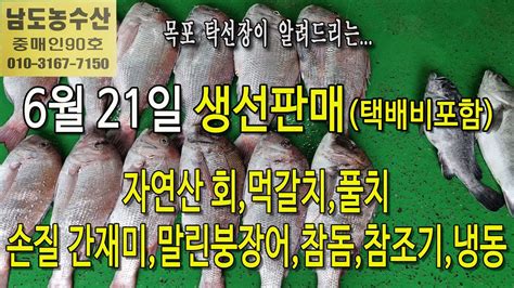 6월 21일판매 생선 자연산 참돔회 먹갈치 풀치 손질 간재미 마른붕장어 냉동생선 맛있게 드시고 건강하세요 목포 남도농수산 탁선장 010 3167