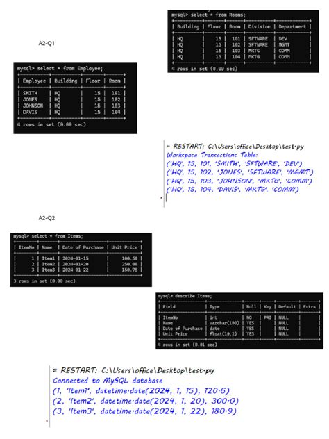 Python Mysql Connectivity 2 Outputs Pdf