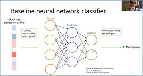 Supervised Adversarial Alignment Of Single Cell Rna Seq Data Rna Seq Blog