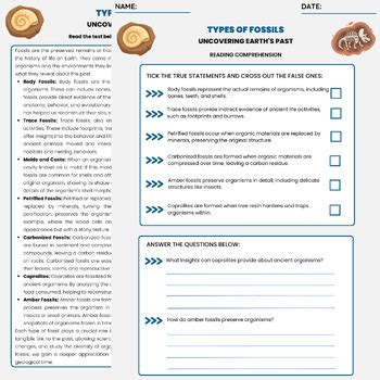 Types Of Fossils Reading Comprehension Passage By Mind Spark Education