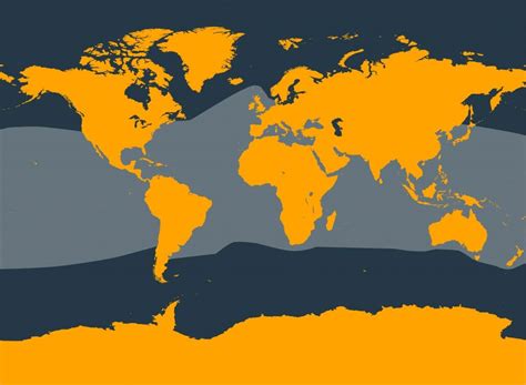 Map Of Dolphins
