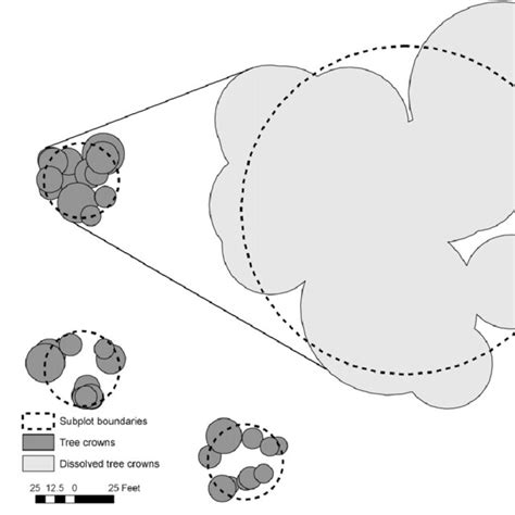 map of individual tree crowns on an fia plot inset shows an expanded