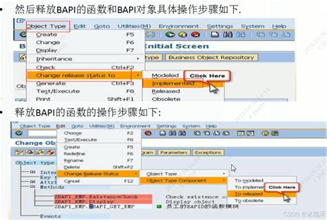 Sap Abap开发学习——bapiabap Abso Bapi Csdn博客